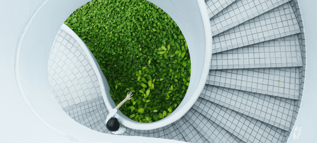 What is a naturalistic fallacy? The Ethics Centre Article