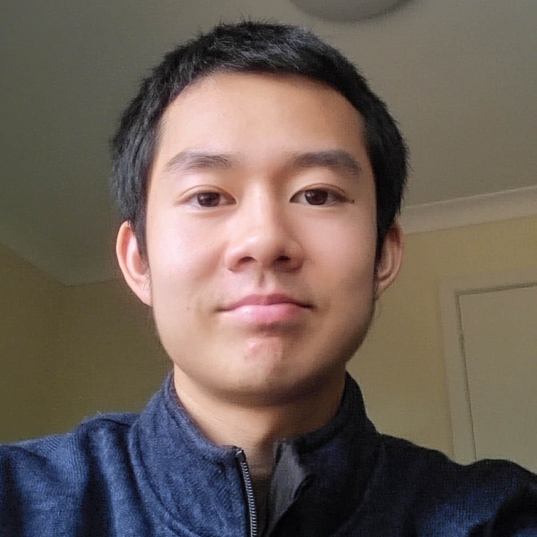 Blindness and seeing