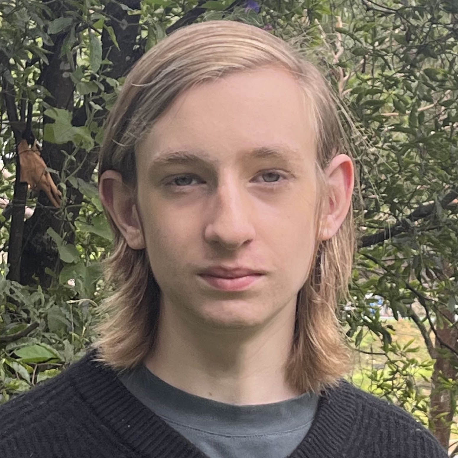 Lisa Frank and the ethics of copyright